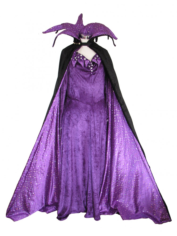 Ladies Evil Queen Sleeping Beauty Costume Size 14 - 16 - Complete ...
